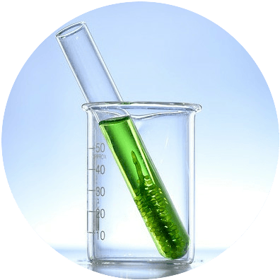 Discover the Best Vegan Omega-3 Supplement for Optimal Health